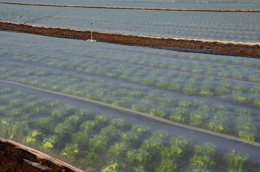Geotechnical, Geotextile & Agricultural Testing